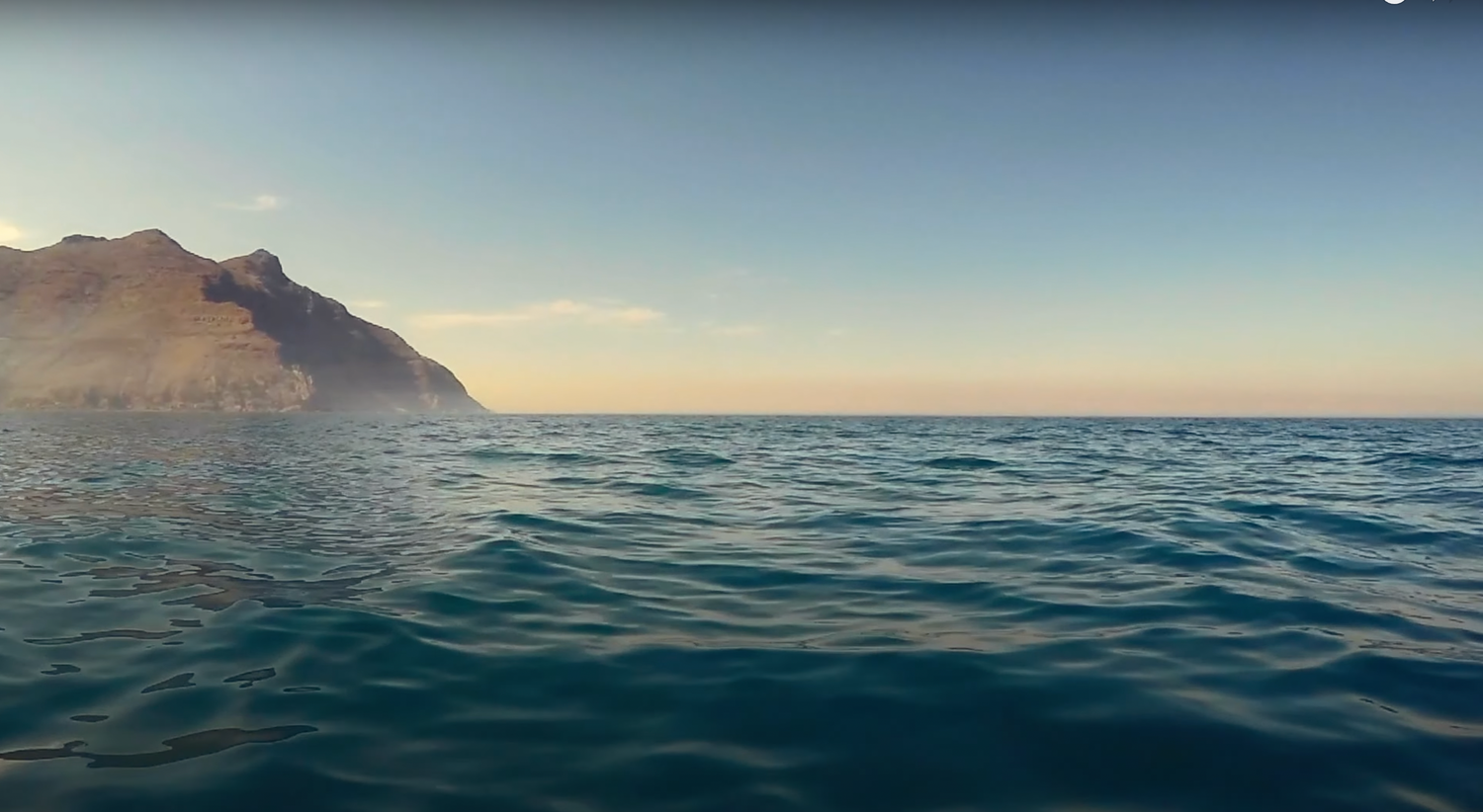 Sentinel Ocean Alliance – Sentinel Ocean Alliance